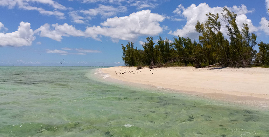 Marideal - Best Deals in Mauritius | Hotels, Activities & Experiences